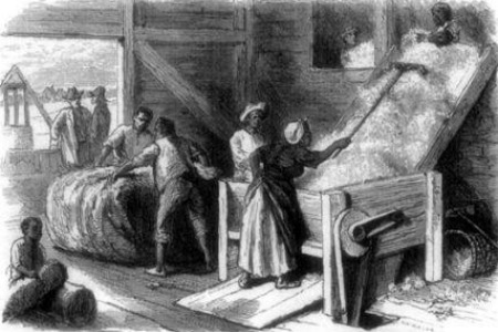 Cotton was 'King' in America? | The Michigan Chronicle