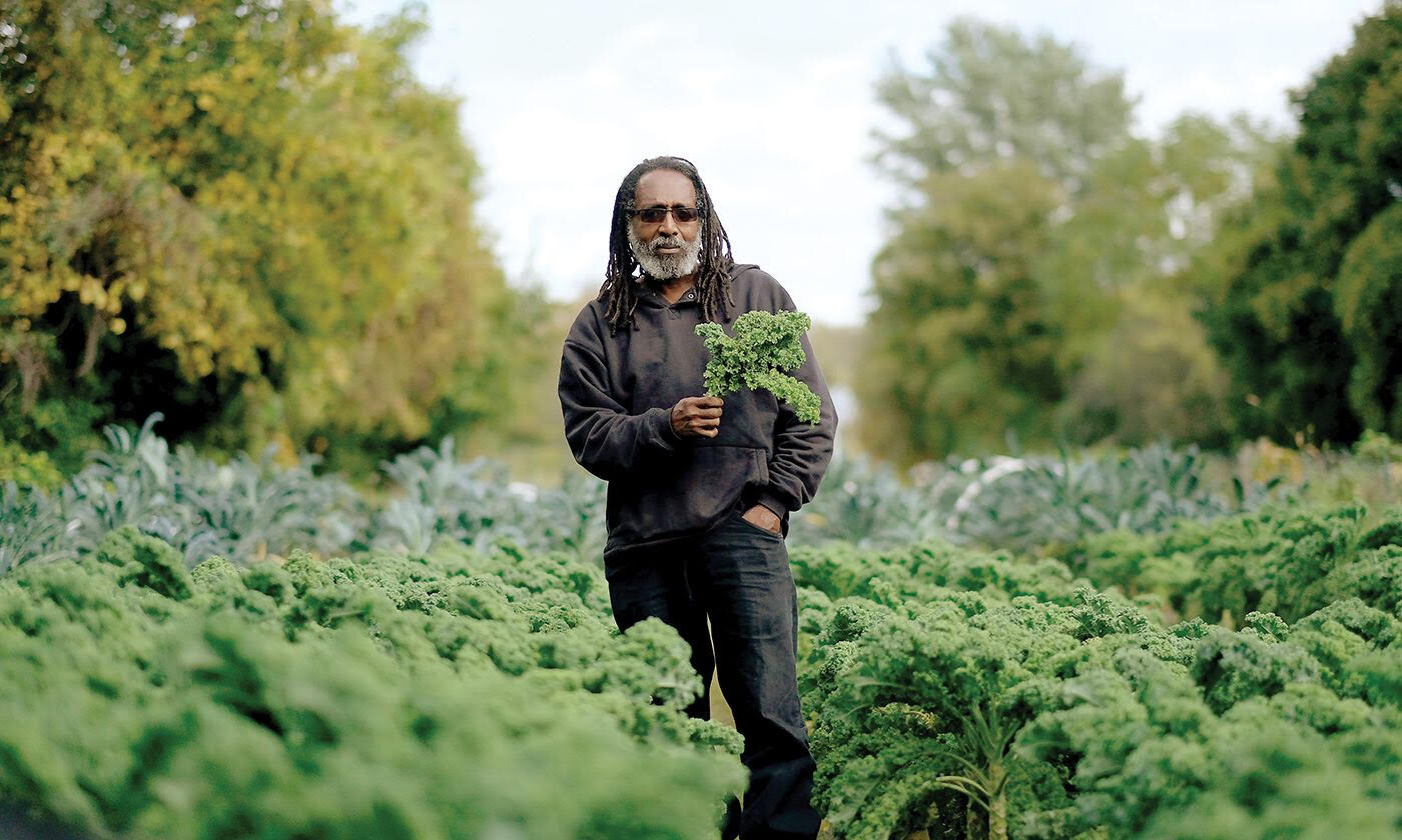 Harvesting Hope: Detroit Food Commons Pioneering Path to Community ...